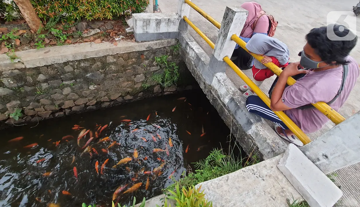 FOTO: Warga Puri Pamulang Menyulap Selokan Jadi Kolam Ikan - Foto ...