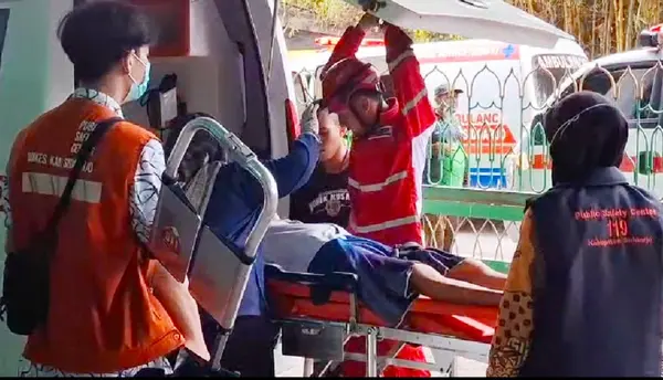 Masih Ingat Film Kartun Hachi? Ini Akhir Kisah Mencari Ibu Lebah yang ...