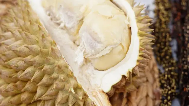 10 Rekomendasi Tempat Makan Durian di Jakarta, Jangan Sampai Kalap