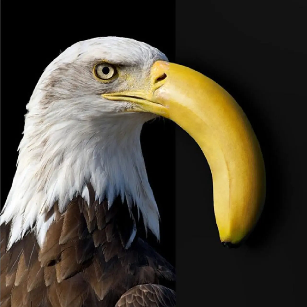 Super Kreatif, 7 Kombinasi Foto Mengagumkan dari Objek Sekitar ...