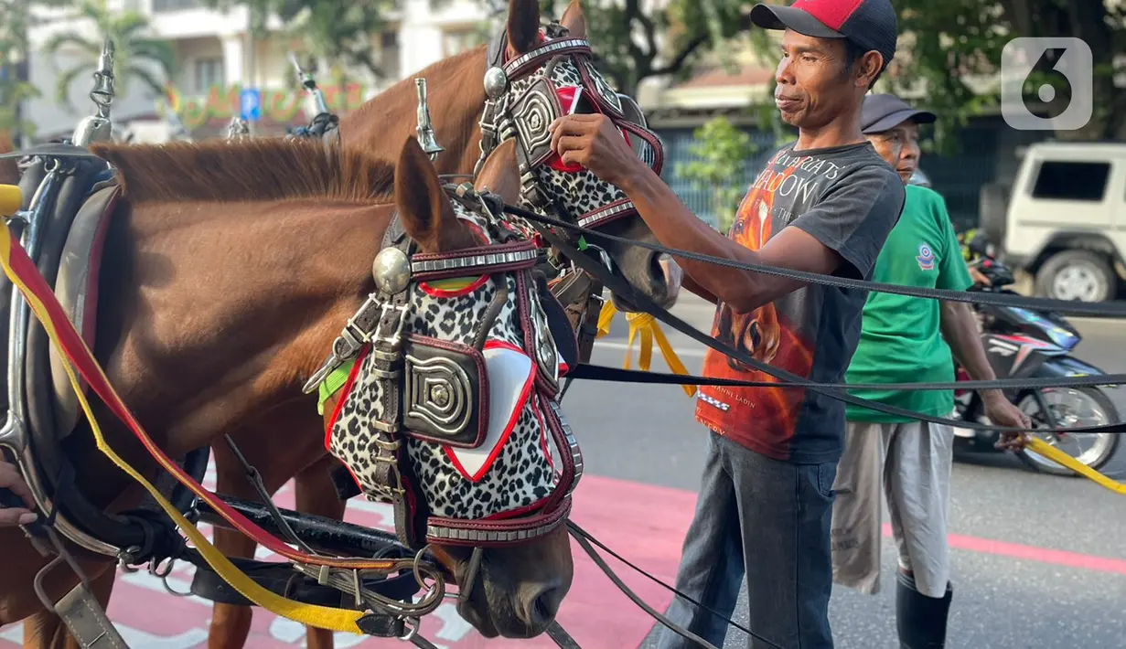 Melihat Persiapan Kereta Kuda Jelang Upacara Ngunduh Mantu Kaesang Pangarep dan Erina Gudono ...