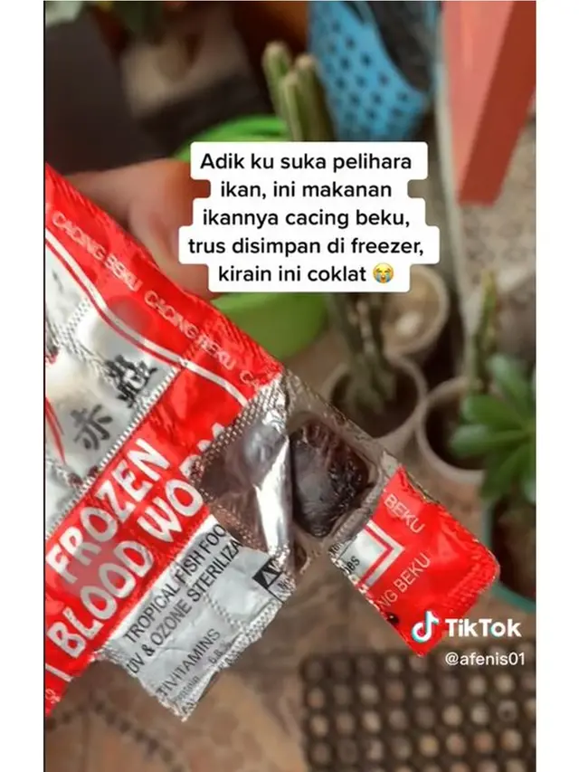 Dikira Cokelat, Wanita Ini Hampir Makan Cacing Beku yang Ada di Freezer ...