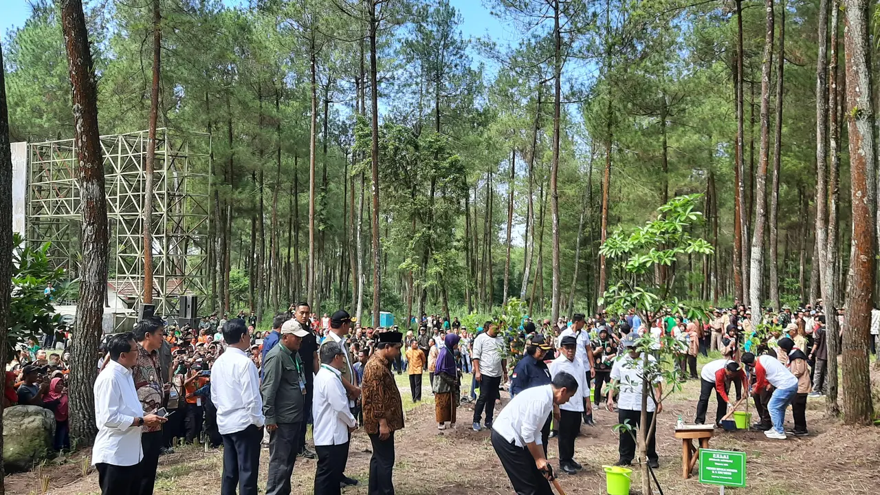 Mengintip Aksi Jokowi Lepasliarkan Elang Jawa di Taman Nasional Gunung Merapi - News Liputan6.com