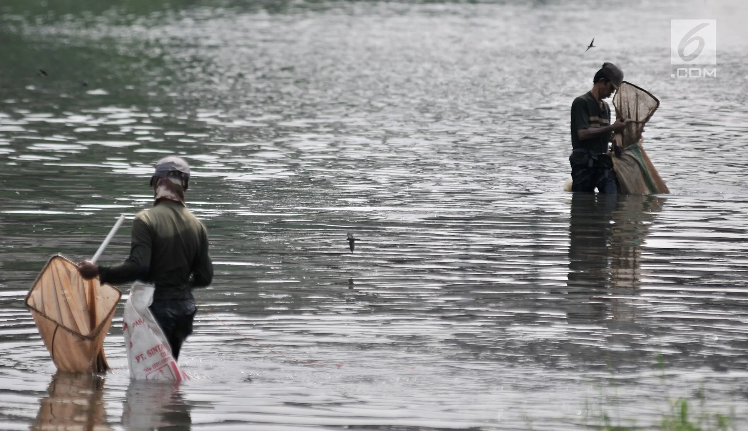 FOTO: Potret Pemburu Cacing Super Beromzet Jutaan Rupiah - Foto ...