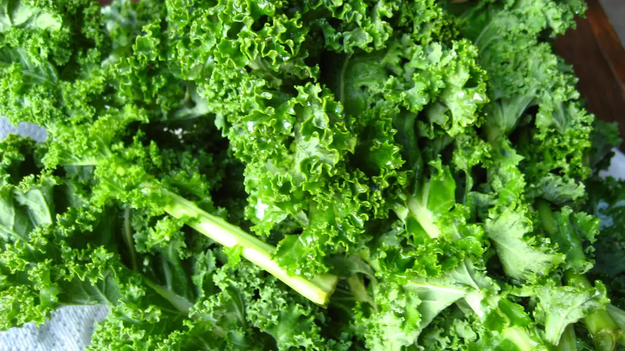 Macam-Macam Sayuran Hijau, Kandungan, dan Manfaatnya untuk Kesehatan ...