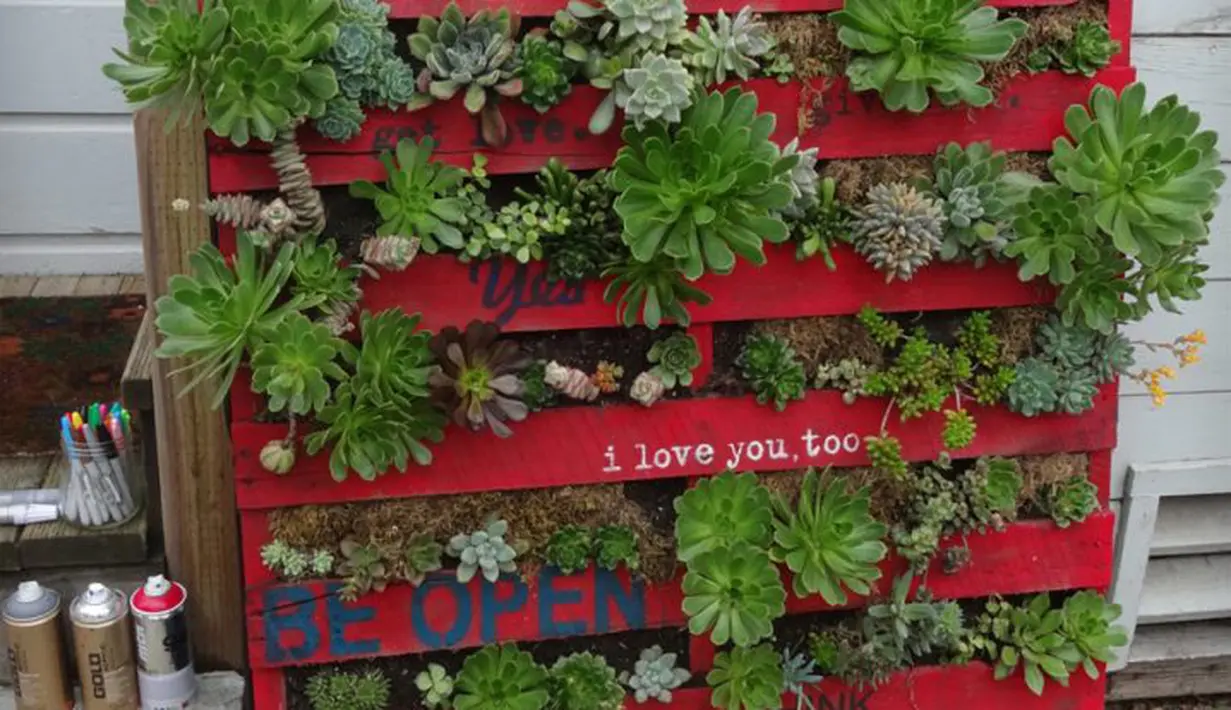 8 Ide Unik Buat Miniatur Taman Indoor Yang Tak Makan Tempat