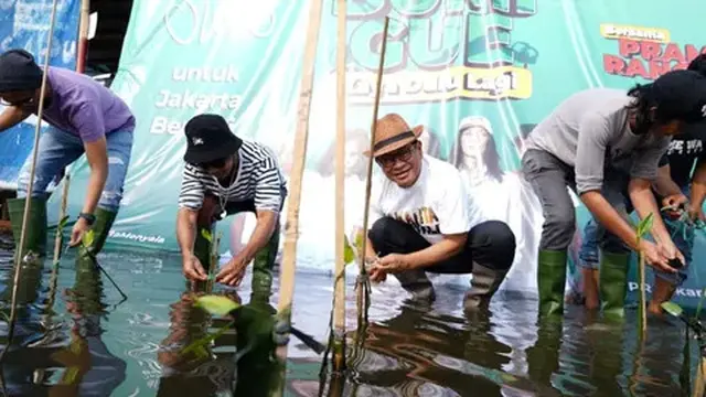 Potret Cagub Pramono Anung dan Slank Kompak Tanam Mangrove di Marunda - News Liputan6.com