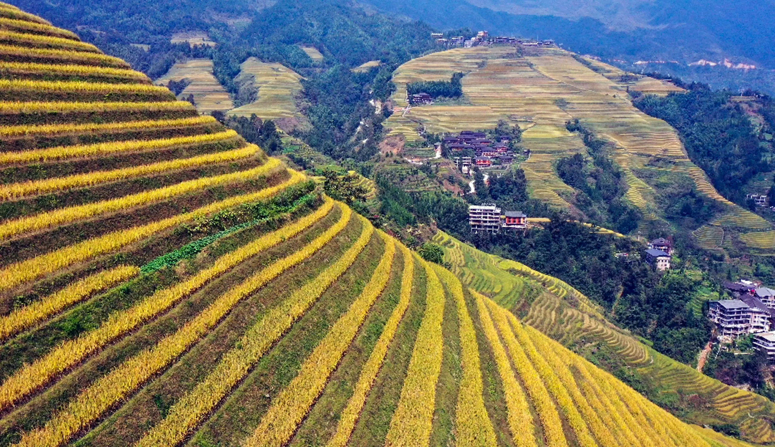FOTO: Pemandangan Indah Sawah Terasering di Guangxi - Foto Liputan6.com