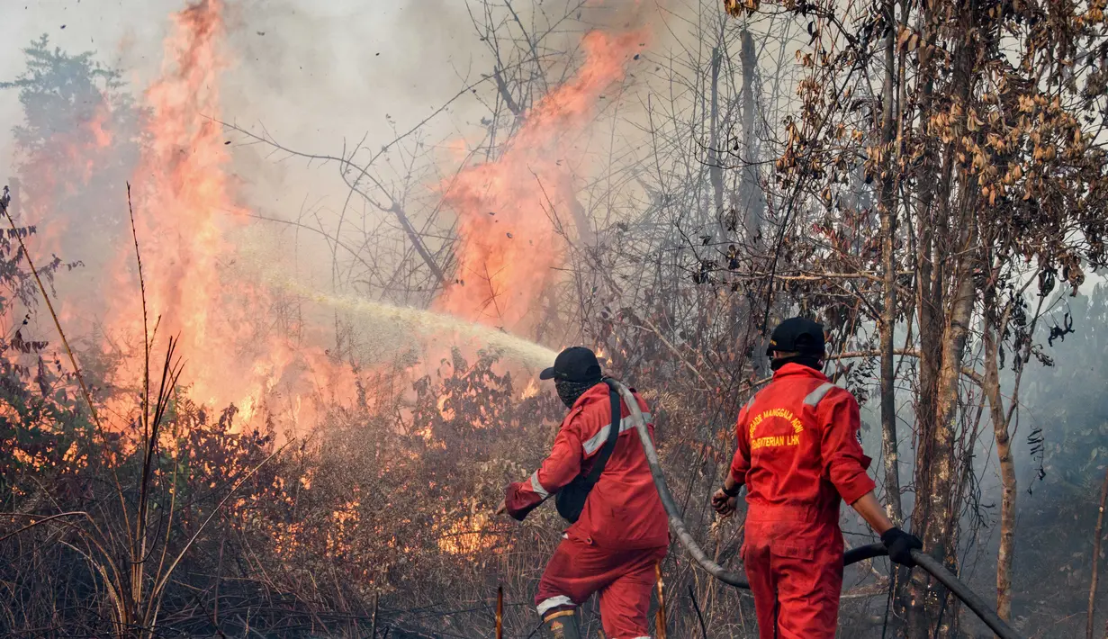 Sempat Padam, Lahan Gambut di Desa Rimbo Panjang Kampar Riau Kembali ...