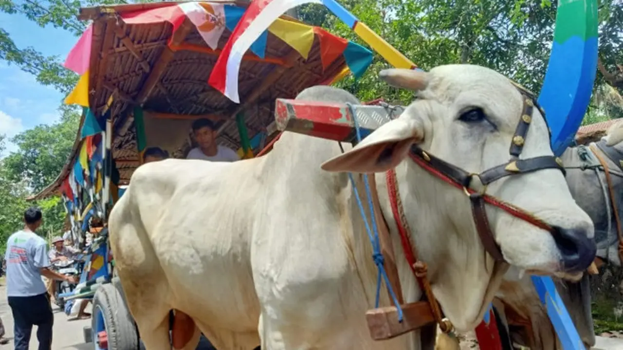 Salah Kaprah, Ini Asal-Usul Kata Bajingan yang Pernah Jadi Profesi ...