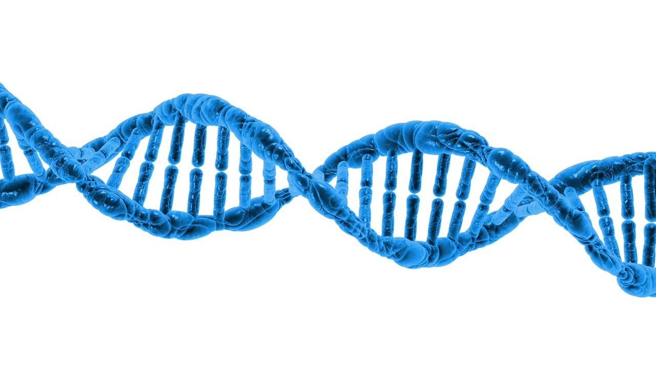 Pernyataan tentang Kromosom, DNA, dan Inti Sel yang Benar Adalah ...
