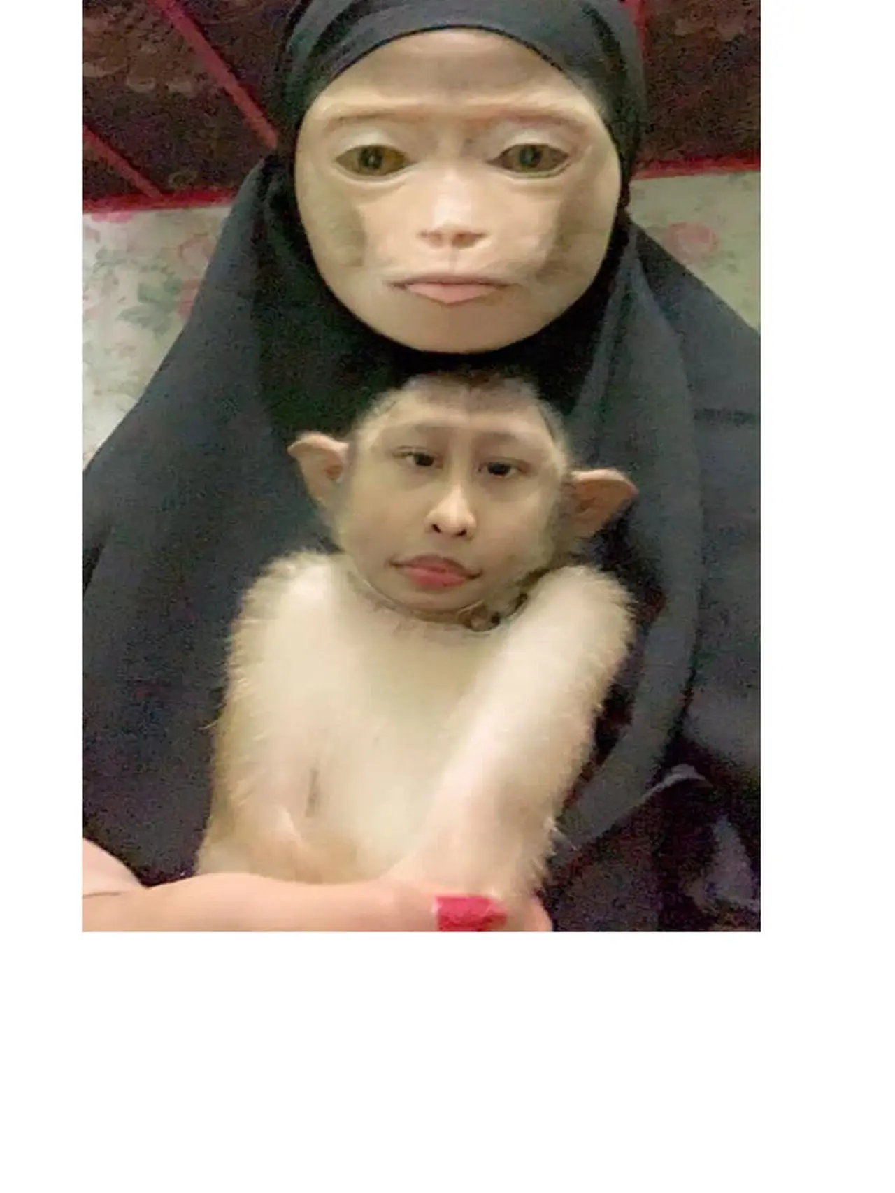 5 Editan Foto Kucing Tukar Wajah dengan Pemiliknya Ini Bikin Geleng ...