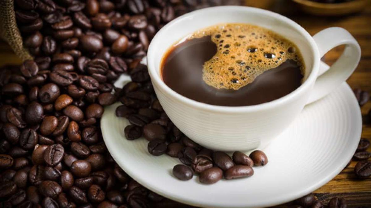 14 Jenis Kopi Paling Populer di Indonesia, Pencinta Kopi Wajib Tahu