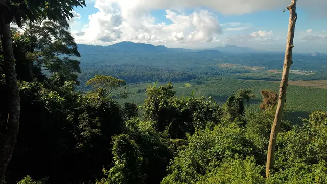 6 Fakta Menarik Bukit Bombalai, Gunung Api Purba di Malaysia yang Masih ...