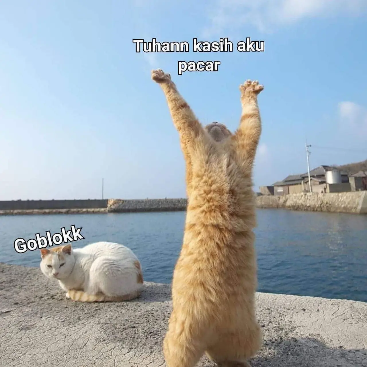 6 Meme Netizen Lihat Pasangan Kekasih Romantis di Medsos Ini Bikin ...