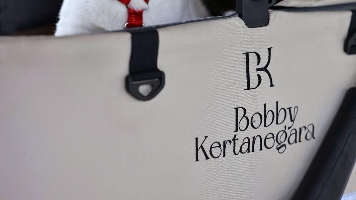 Mewing, Labubu, hingga Bobby Kertanegara: Intip Tren Pencarian Google ...