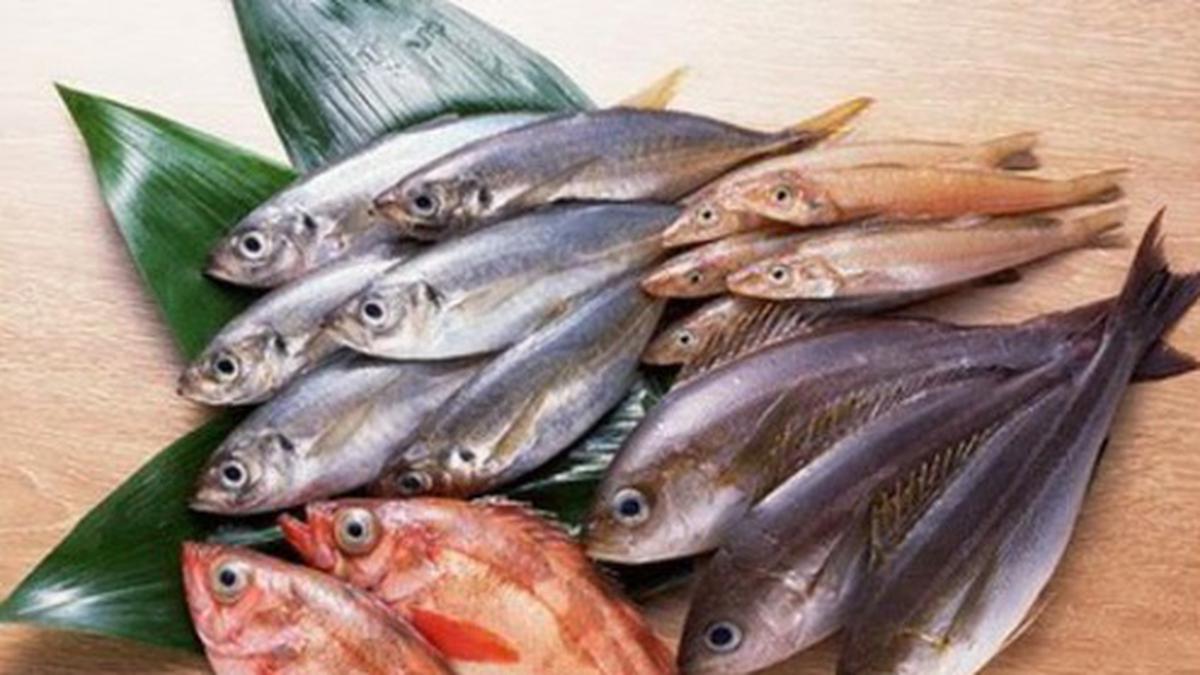 Tips Memilih Ikan dan Cara Tepat Mengolahnya - Citizen6 Liputan6.com