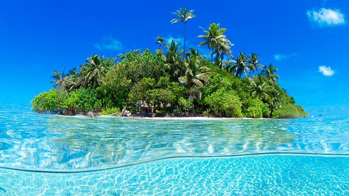 Langkah Mudah Membuat Foto Split Underwater - Tekno Liputan6.com