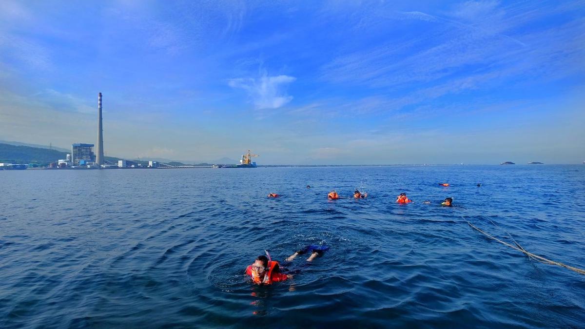 Perjuangan PJB Bawa PLTU Paiton Sabet Proper Emas - Bisnis Liputan6.com