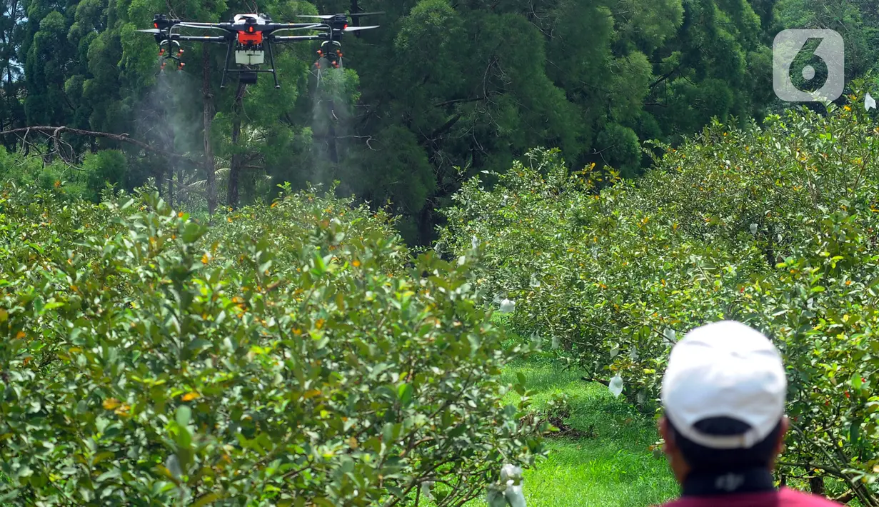 IPB Kembangkan Drone Penyemprot Pupuk untuk Tingkatkan Produksi ...