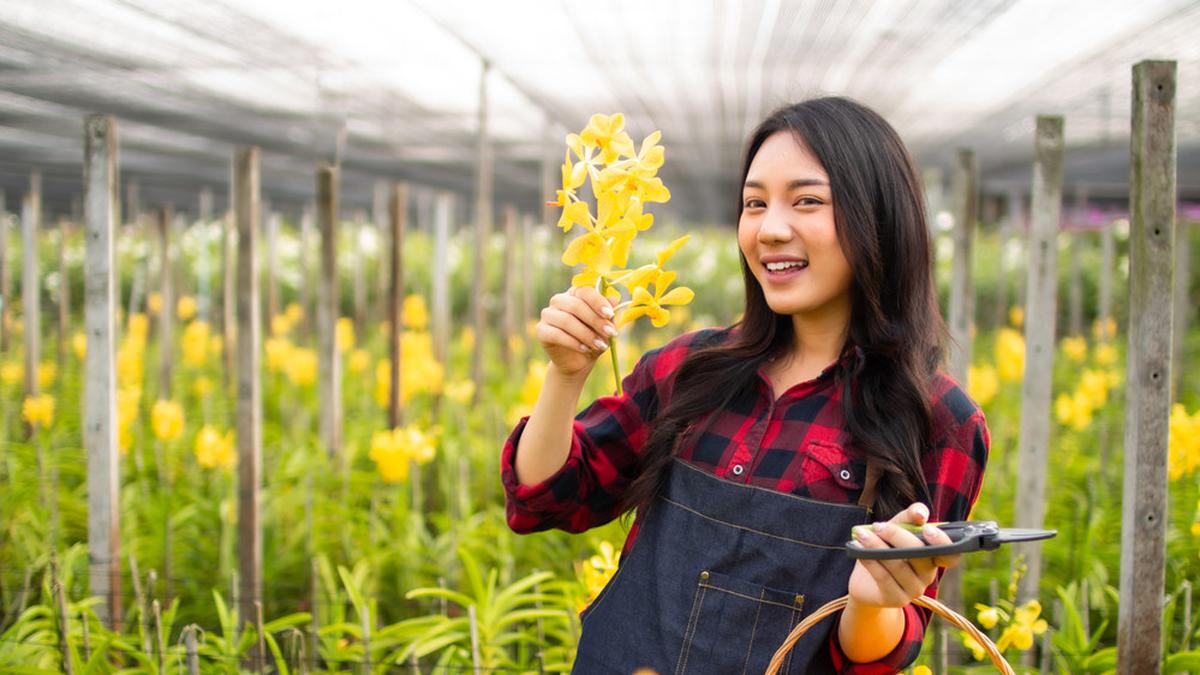 4 Jenis Bunga yang Paling Banyak Dicari dan Dipercaya Membawa ...