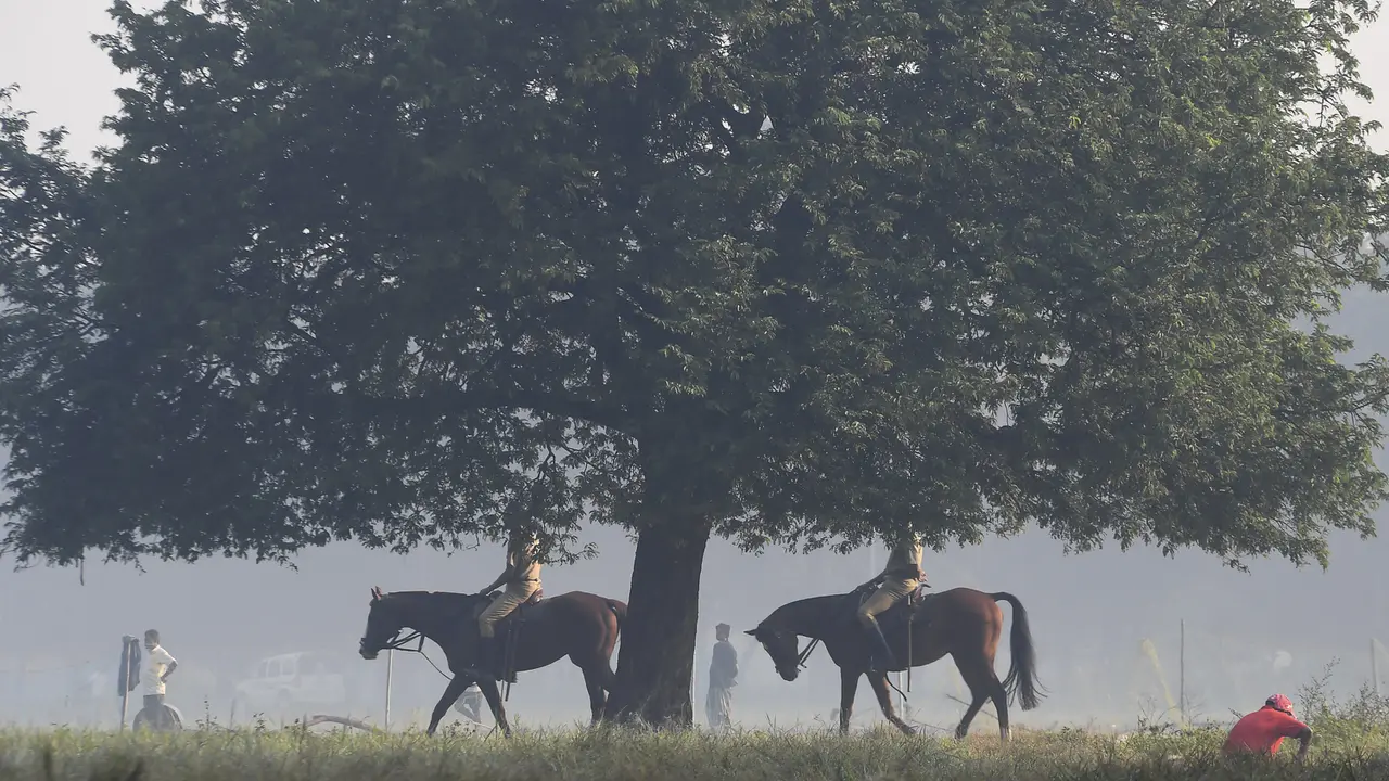 Legenda Sembrani, Kuda Terbang Tunggangan Para Raja Nusantara ...