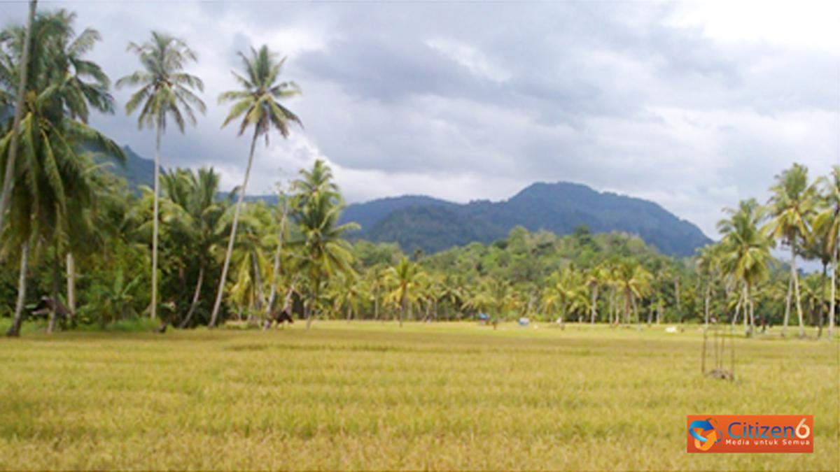 `Ramuan` Cinta Indonesia dalam 6 Komposisi - Citizen6 Liputan6.com