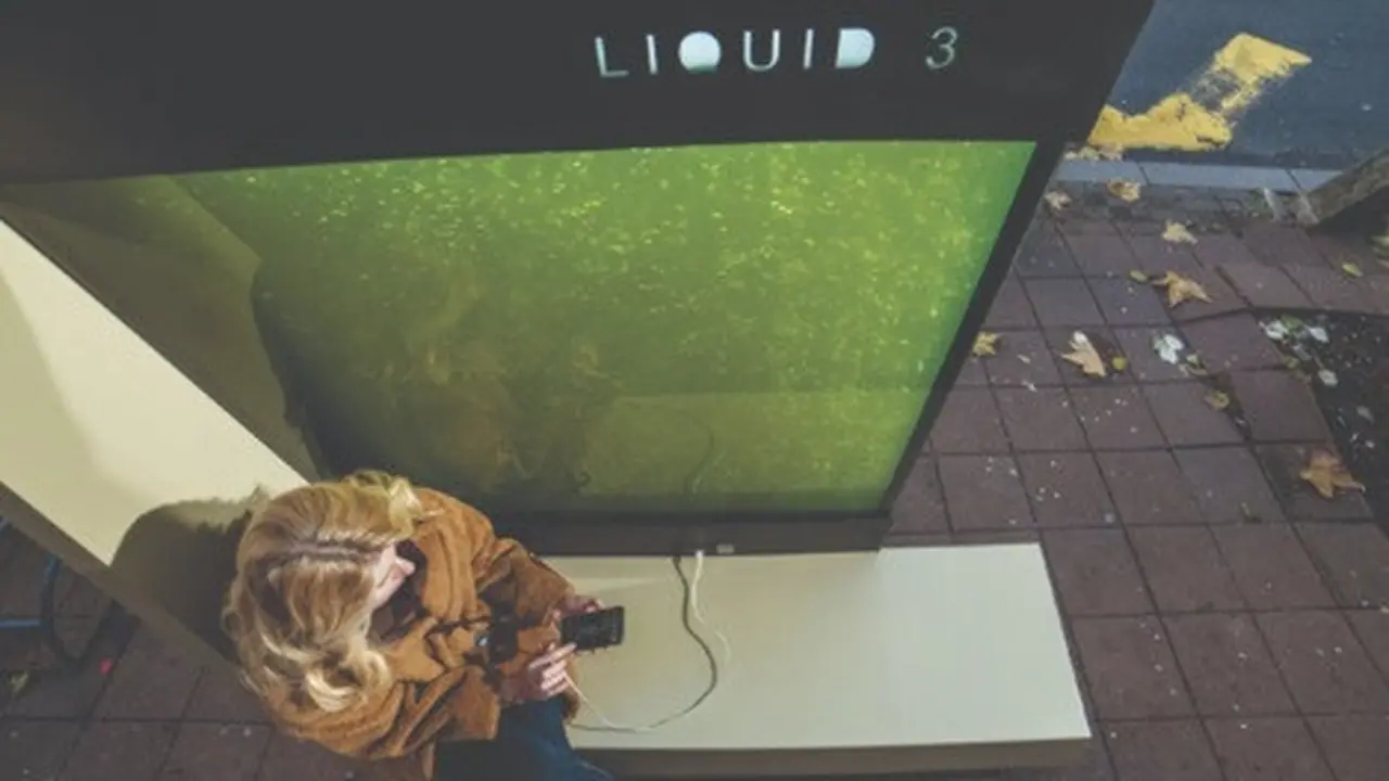 Liquid Tree Inovasi 'Pohon Cair' Unik Serbia Lawan Polusi Udara ...