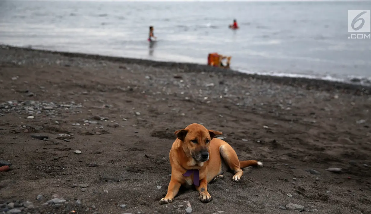 PHOTO: Erupsi Gunung Agung, Pariwisata Amed Sepi Pengunjung - Foto Liputan6.com