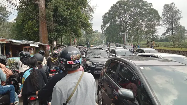 Jalur Puncak Bogor Arah Jakarta Macet Parah, Ini Penampakannya - News Liputan6.com