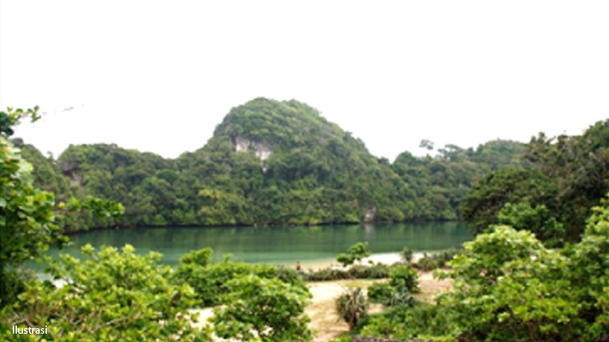 Segara Anakan, Pulau dengan Sejuta Keindahan - Citizen6 Liputan6.com