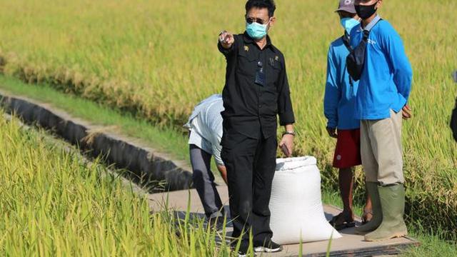 Lewat Program Jalan Usaha Tani, Kementan Siap Maksimalkan Pertanian di ...