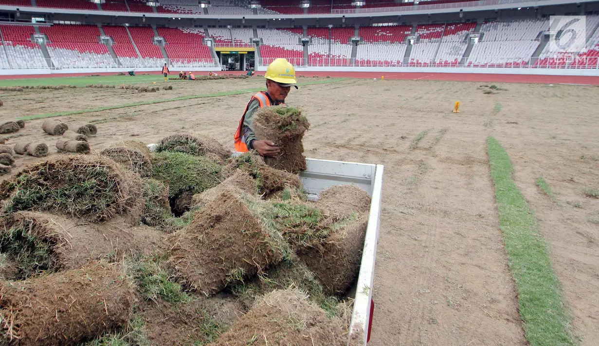 FOTO: Rumput GBK Dicopot demi Persiapan Asian Games 2018 - Foto ...
