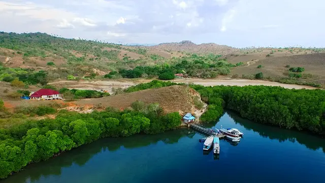 Berpetualang ke Pulau Rinca, Menyaksikan Pesona Kadal Raksasa ...