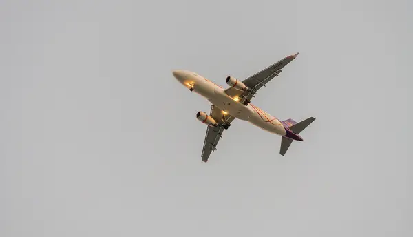 6 Fakta Menarik T-rex Si Raja Kadal - Global Liputan6.com