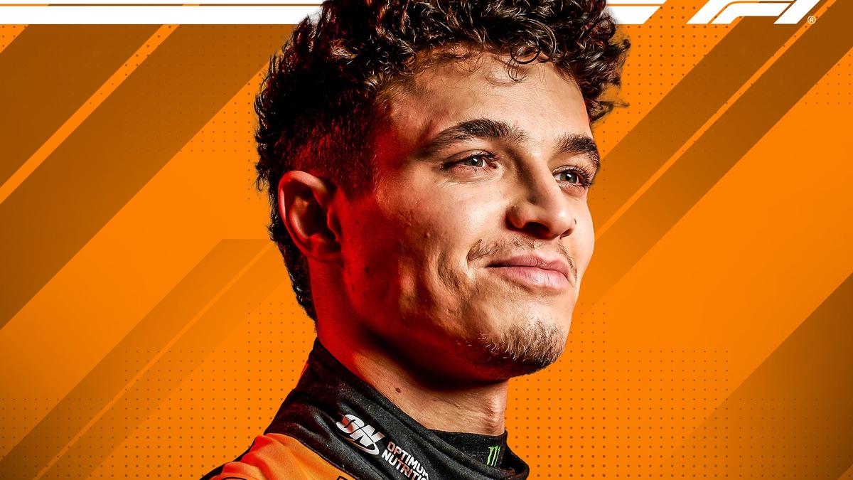 Lando Norris's Brilliant Victory at the 2025 São Paulo Grand Prix ...