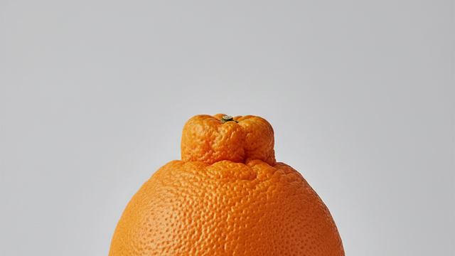 9 Jenis Jeruk Mandarin Populer di Indonesia: Pilihan Manis untuk Setiap ...