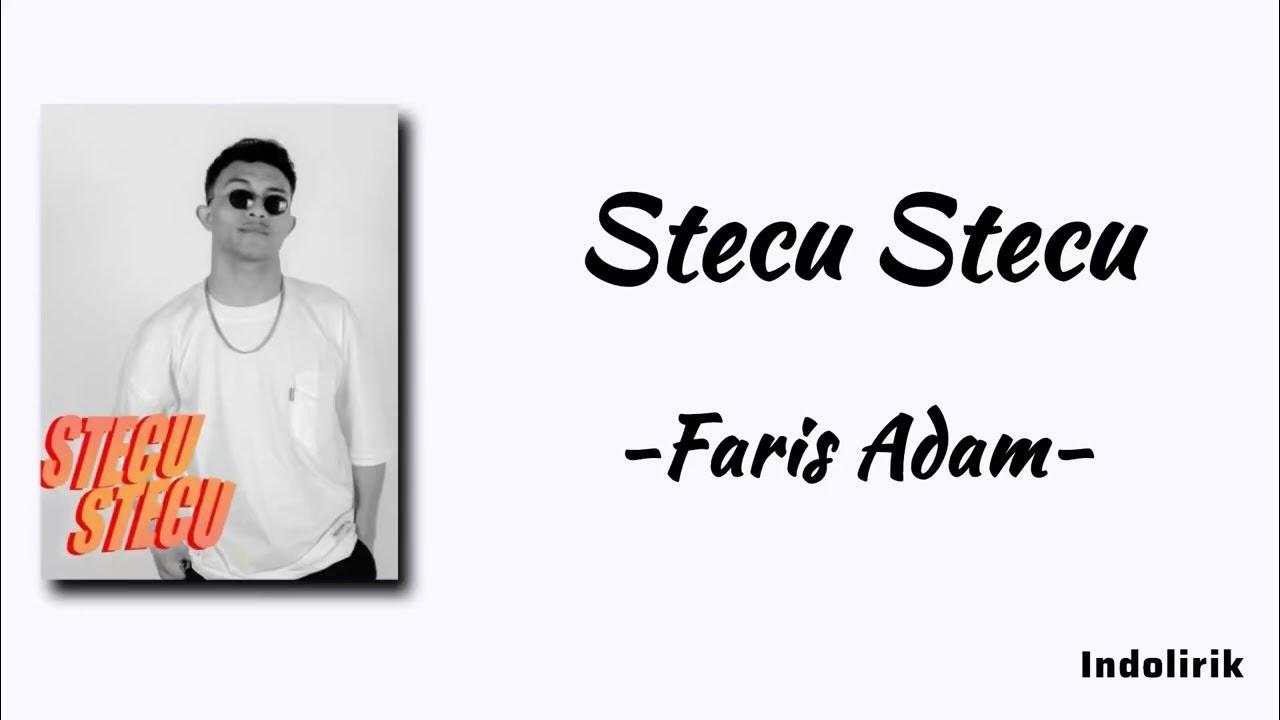 Viral di TikTok! Apa Itu Stecu? Pahami Arti, Asal-usul, dan Trennya