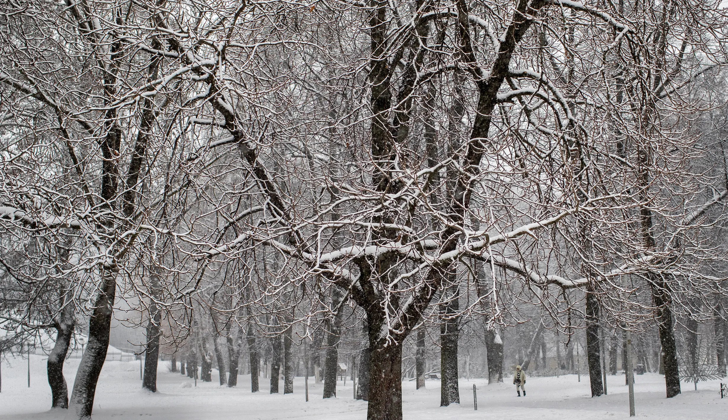 Hujan Salju Lebat Selimuti Lithuania - Foto Liputan6.com