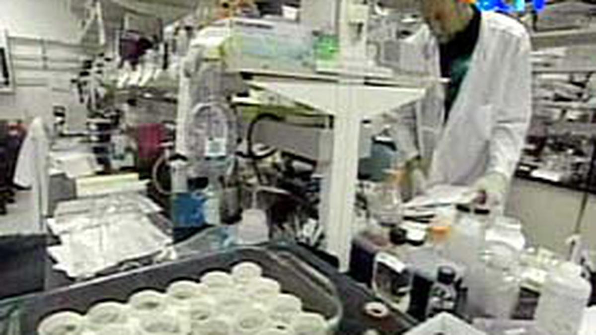 Terapi Gen Bisa Mengerem Perkembangan Alzheimer - Global Liputan6.com