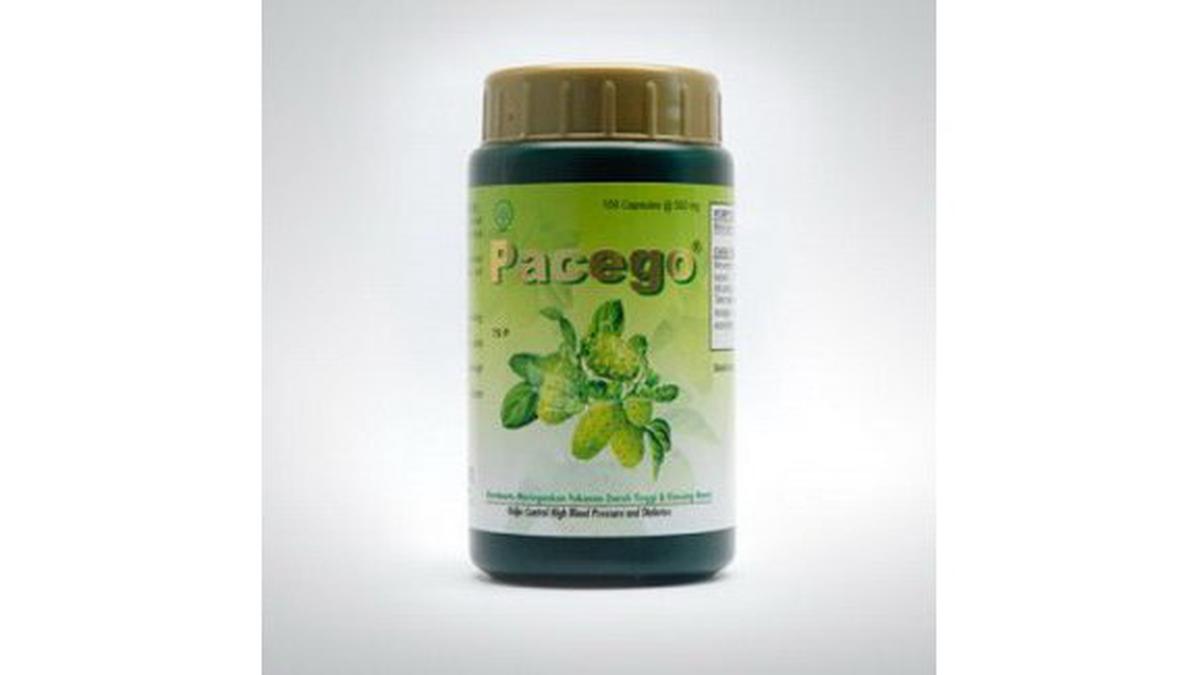 Pacego, Produk Herbal Untuk Hipertensi Dan Diabetes - Parenting Fimela.com
