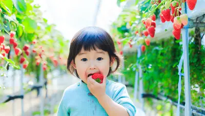 6 Potret Makanan Ini Punya Wujud Menakutkan Ketika Mau Dimakan, Bikin ...