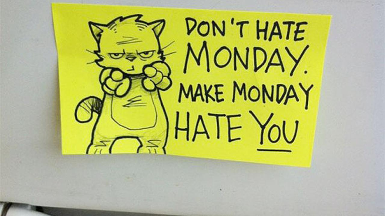 Kucing Ini Bikin Anda Tak Lagi Benci Hari Senin