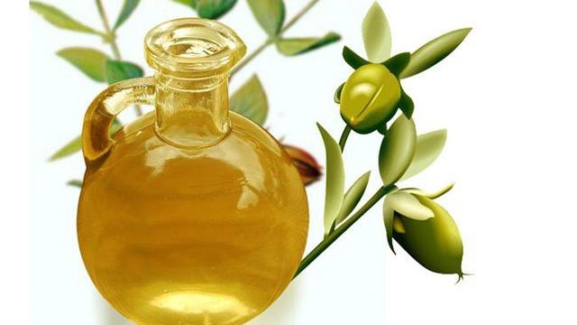 Cari Tahu Manfaat Minyak Jojoba untuk Kecantikan - Fashion & Beauty ...