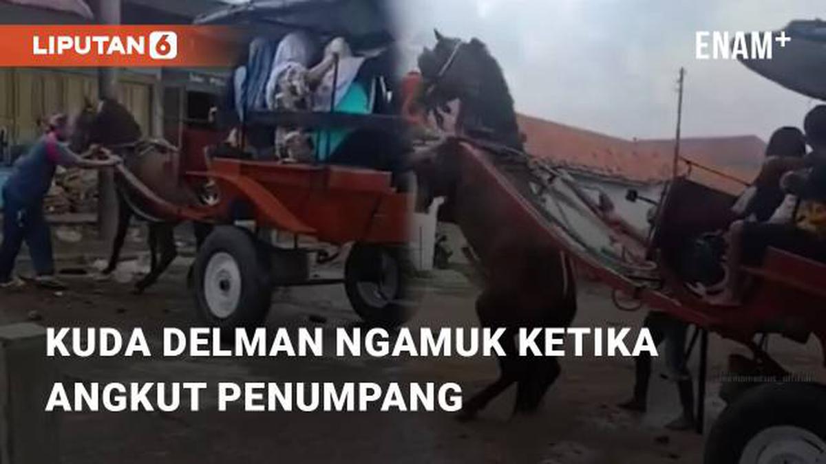 Berita pasar comal Hari Ini - Kabar Terbaru Terkini | Liputan6.com