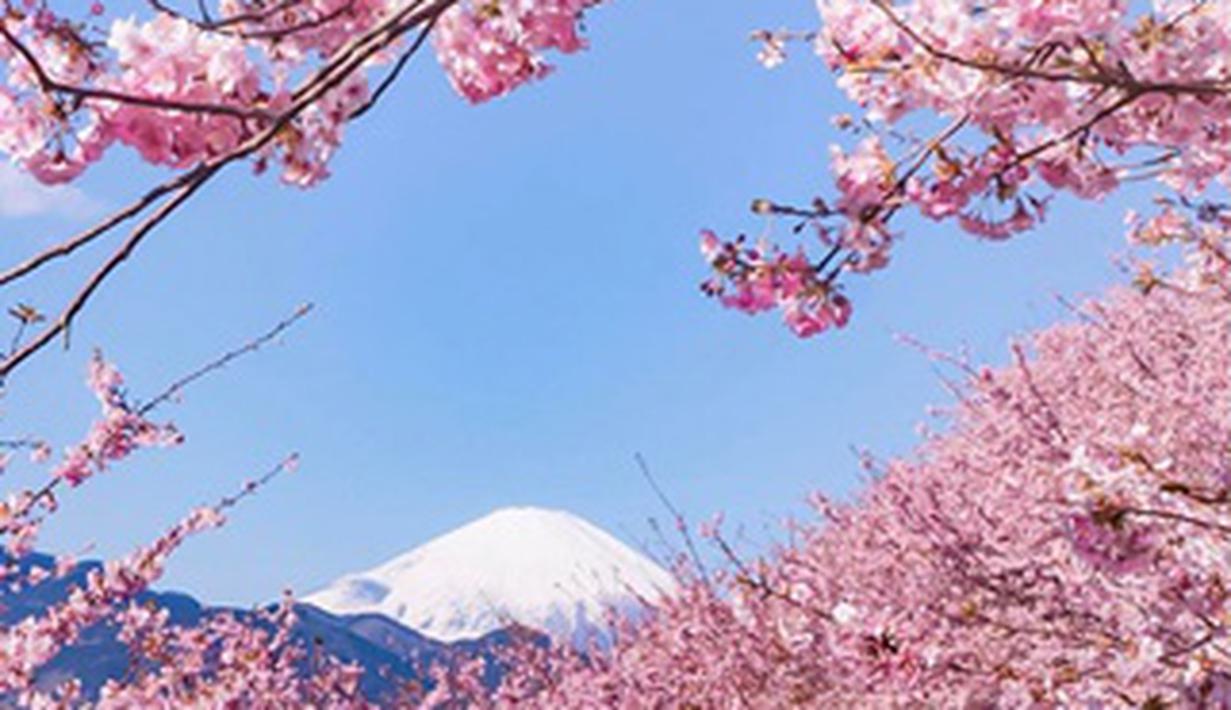 Pesona Romantis Musim Semi di Jepang: Keren Banget & Bikin Baper ...