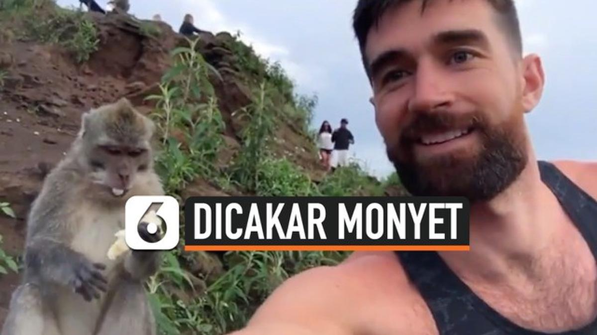 VIDEO: Bintang Film Dewasa Dicakar Monyet Saat Liburan di Bali