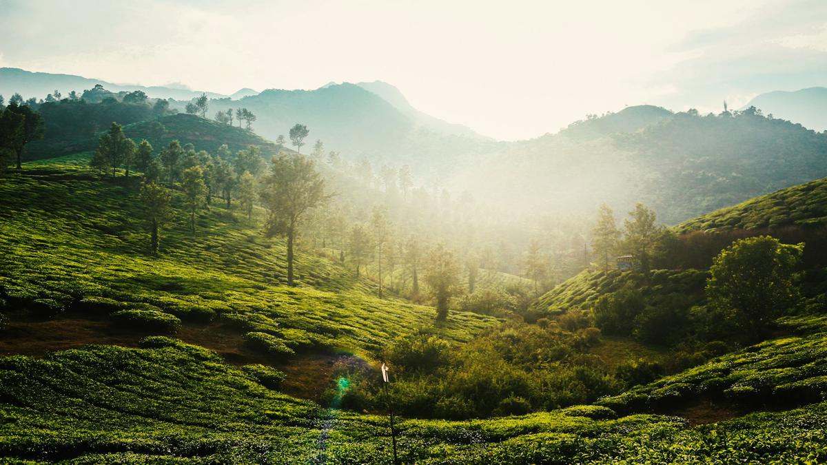 6 Places To Visit In Wayanad: Explore Its Breathtaking Landscape And ...