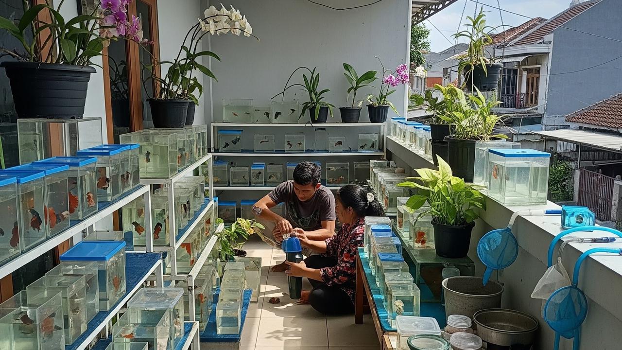 9 Ternak Mini di Teras Rumah yang Hasilnya Bisa Buat Uang Jajan Harian