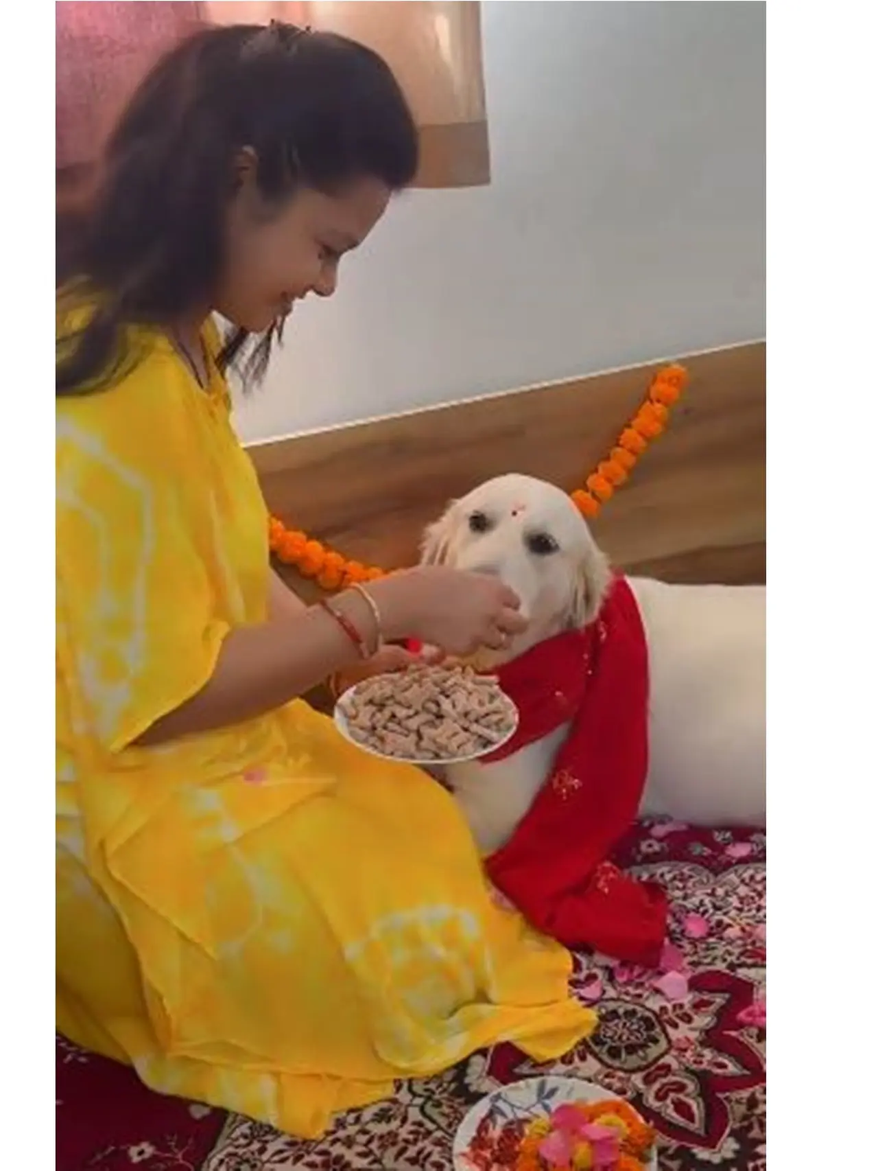 Wanita Beri Kejutan Baby Shower untuk Anjing Peliharaan, Ini 6 Potret ...
